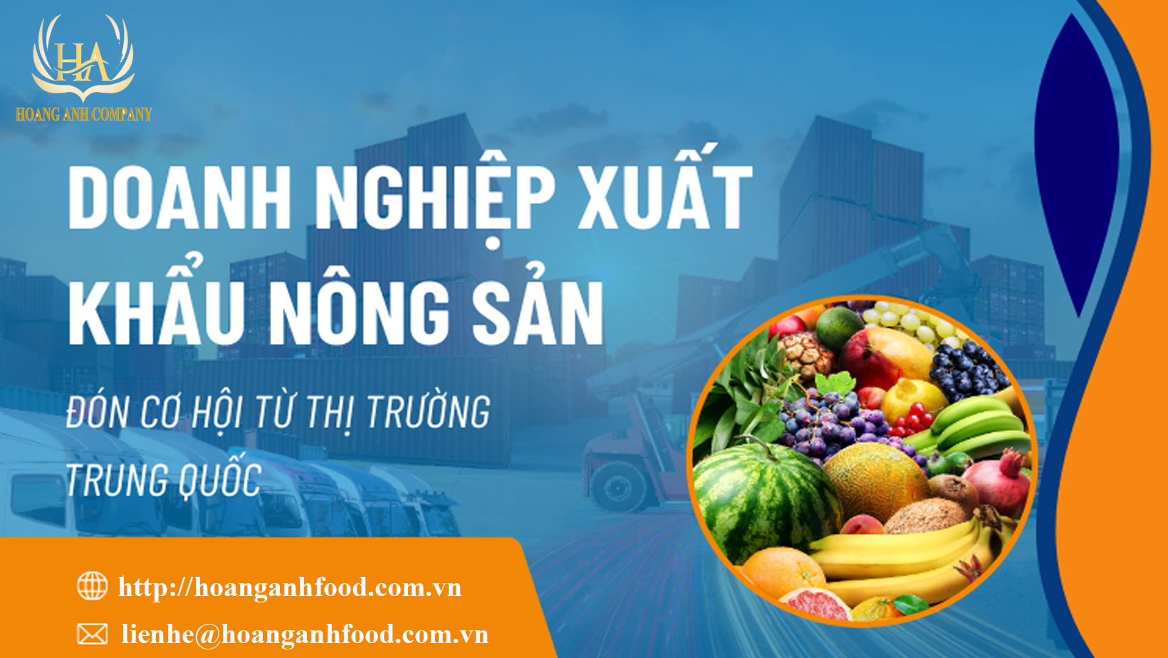 Công Ty Hoàng Anh Chuyên Cung Cấp Sầu Riêng Xuất Khẩu Tại Chơn Thành